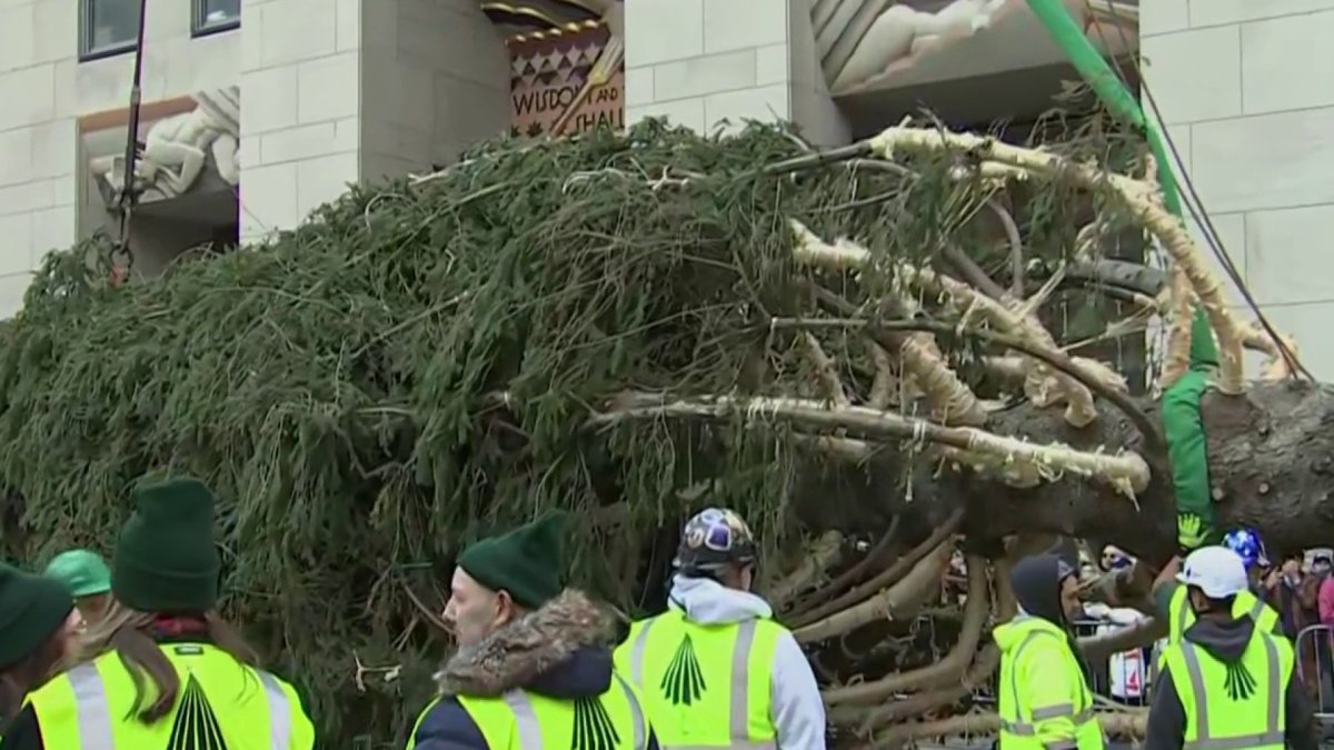 Rockefeller Center Christmas Tree arrives in New York CIty – NBC New York