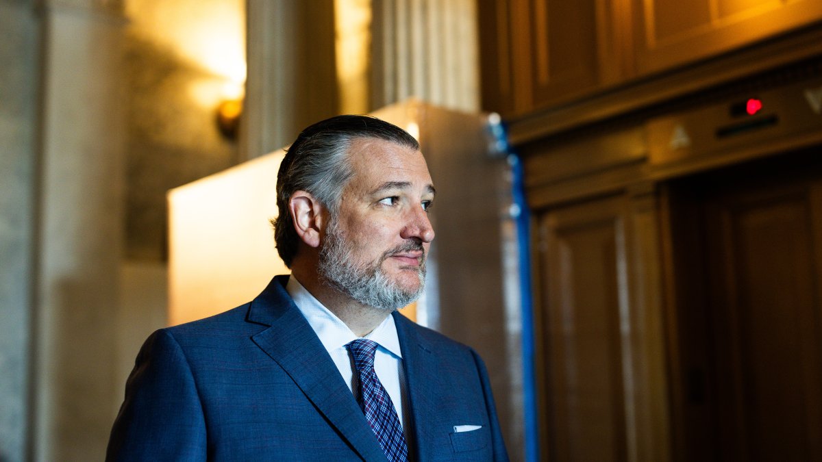 Sen. Ted Cruz wins reelection in Texas – NBC New York Sen. Ted Cruz wins reelection in Texas – NBC New York