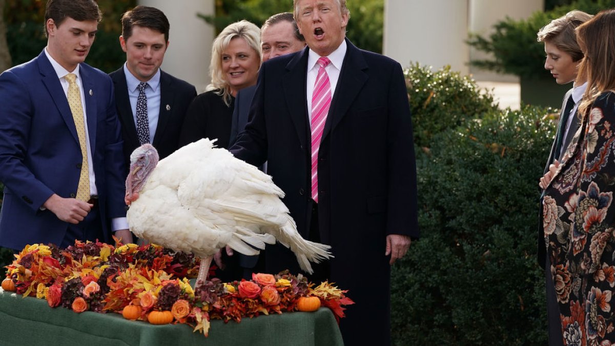 Why do presidents pardon turkeys on Thanksgiving? – NBC New York
