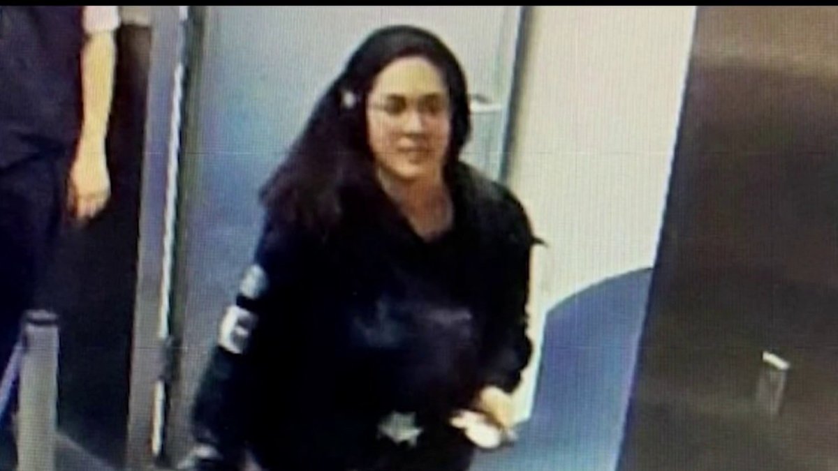 Search continues for Hawaii woman who disappeared from LAX – NBC New York