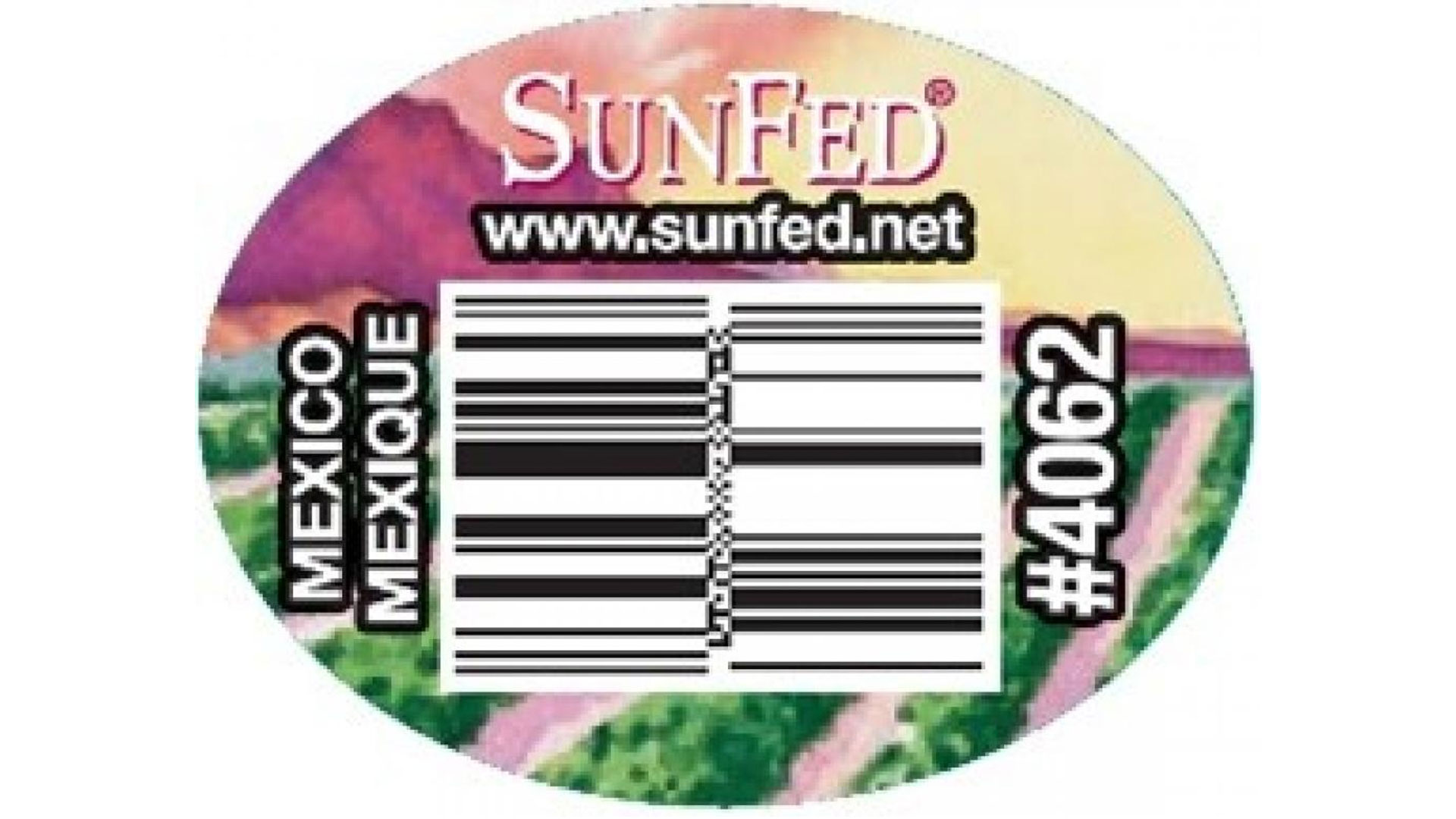 SunFed recalls cucumbers in US and Canada – NBC New York