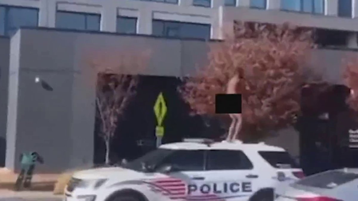 Video shows naked man standing on moving DC police cruiser – NBC New York