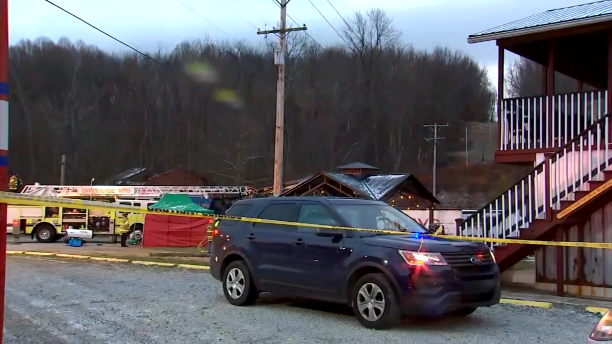 Pennsylvania woman who fell down sinkhole looking for cat found dead ...