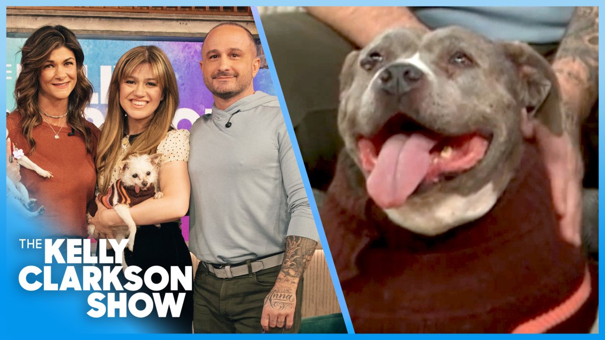 Kelly Clarkson meets founders of special needs senior dog sanctuary ...
