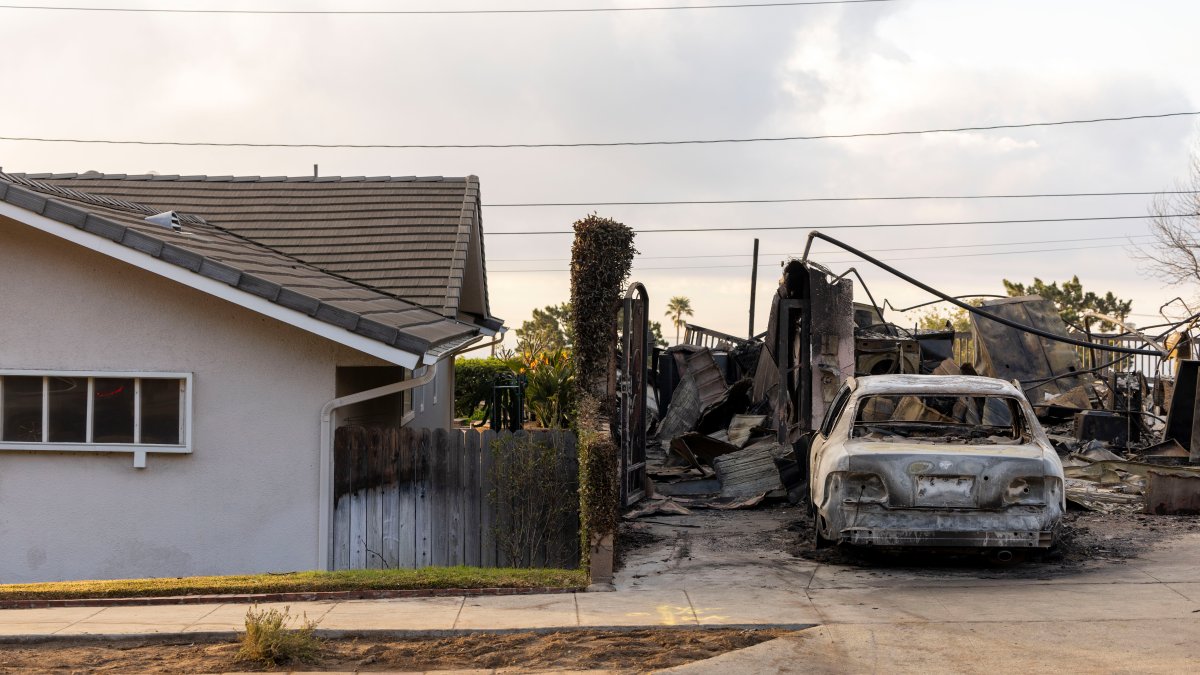 What is defensible space? The step-by-step guide – NBC New York