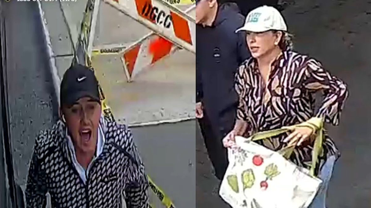 NYC scammers act as good Samaritans, then rob victims – NBC New York