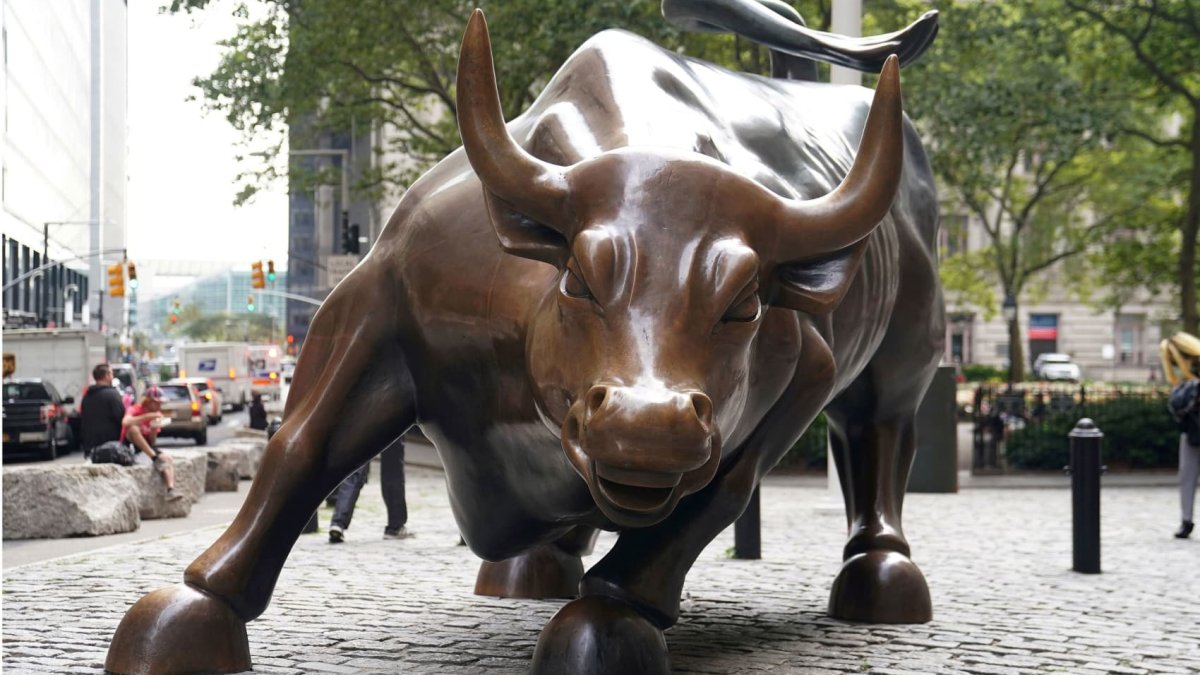 ‘A bull with a lowercase b’: Stock market experts say to prepare for ...