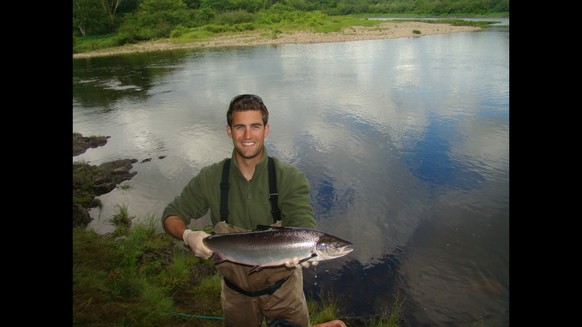 Saving salmon can be a win-win for climate change – NBC New York