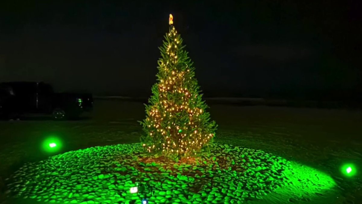 Christmas tree brings Eagles fans to the Jersey shore – NBC New York