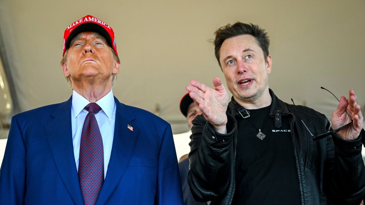 White House says Elon Musk serving as a ‘special government employee ...