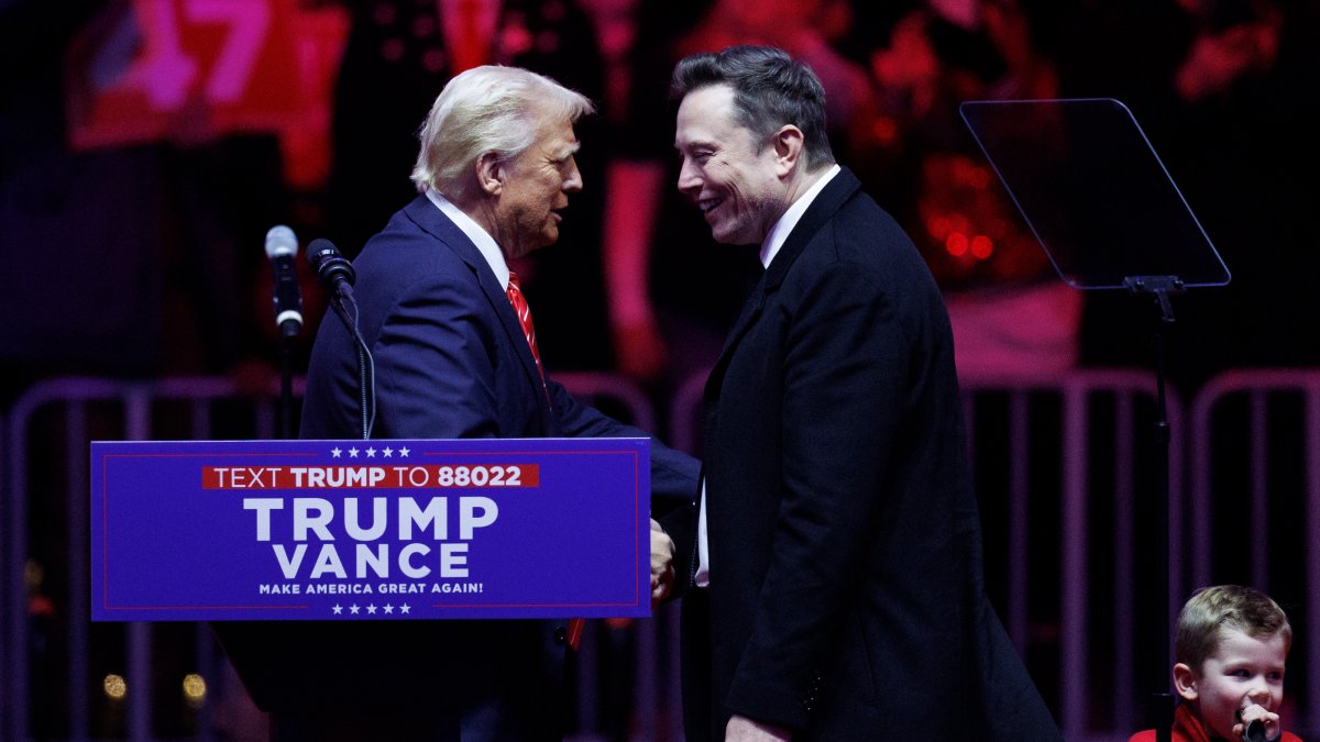 What is Elon Musk’s role in the government? A ‘special government ...