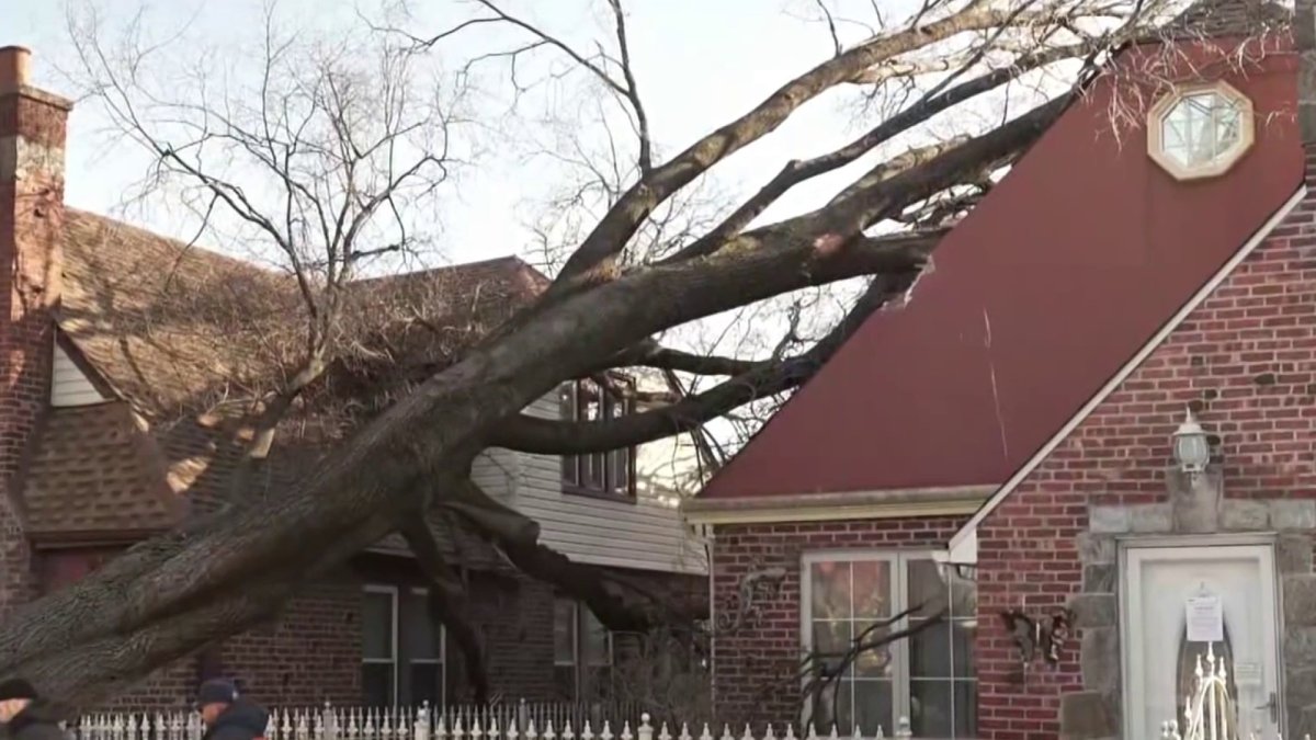 Queens news: High winds cause tree to crash into East Elmhurst home; no ...