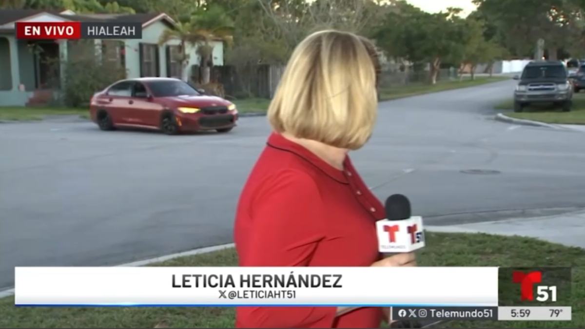 Driver caught doing donuts on live TV at site of triple fatal crash in ...