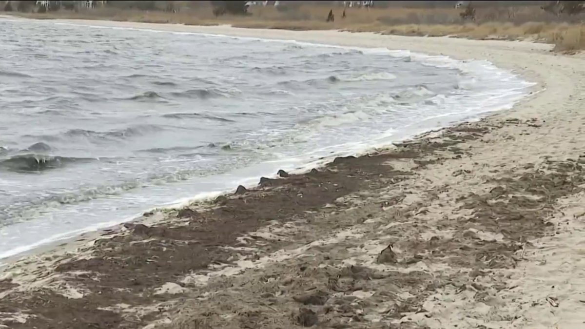 Long Island beach body: Man found dead in Blue Point – NBC New York