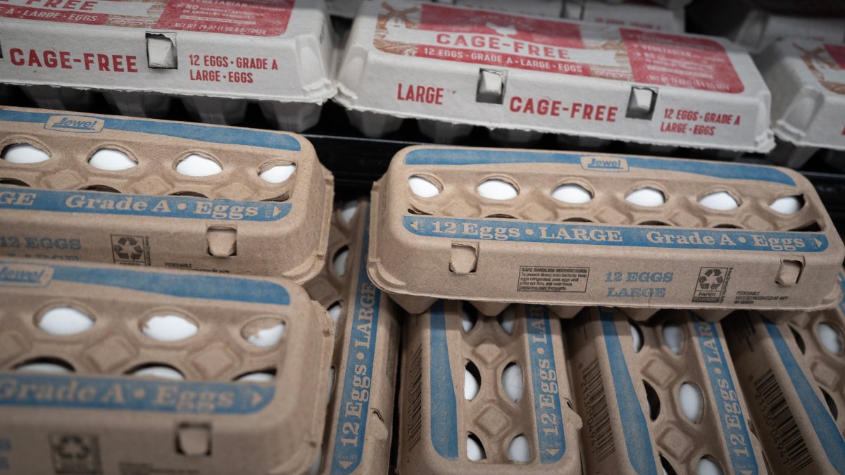 The US is on an egg hunt in Europe to ease prices at home – NBC New York