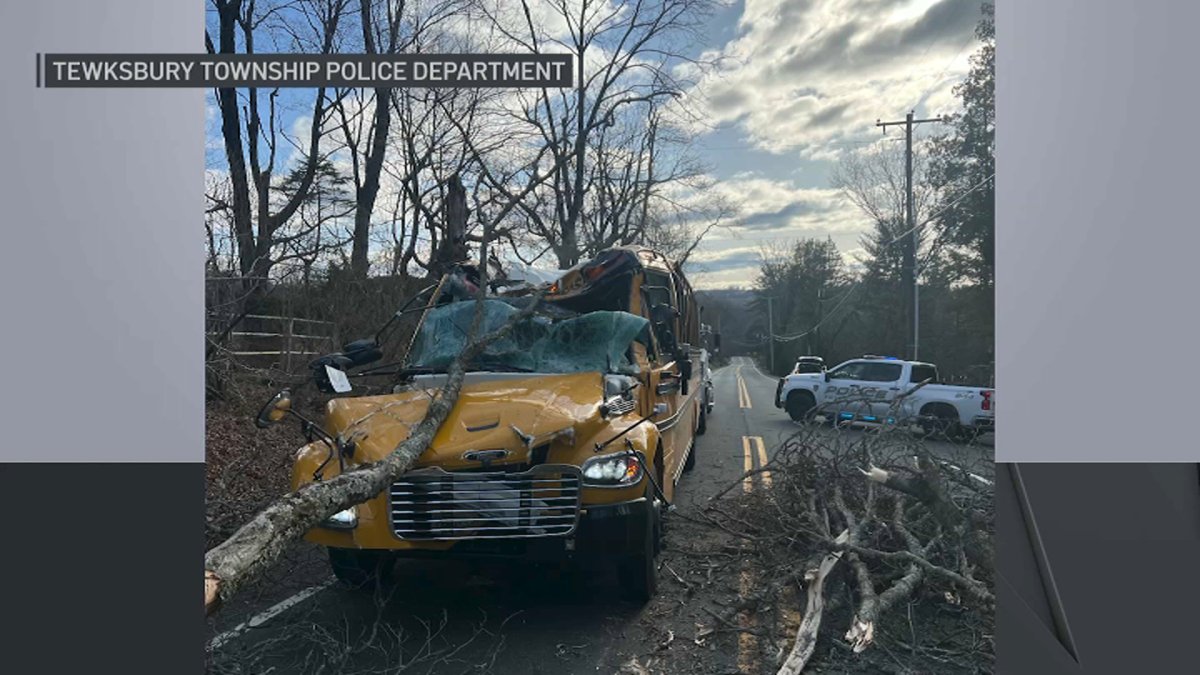 Tewksbury Township large tree falls on school bus – NBC New York