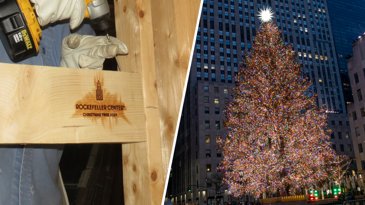 Rockefeller Center Christmas tree used to build homes – NBC New York