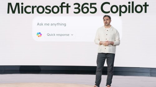 Microsoft AI chief Suleyman sees advantage in building models ‘3 or 6 ...