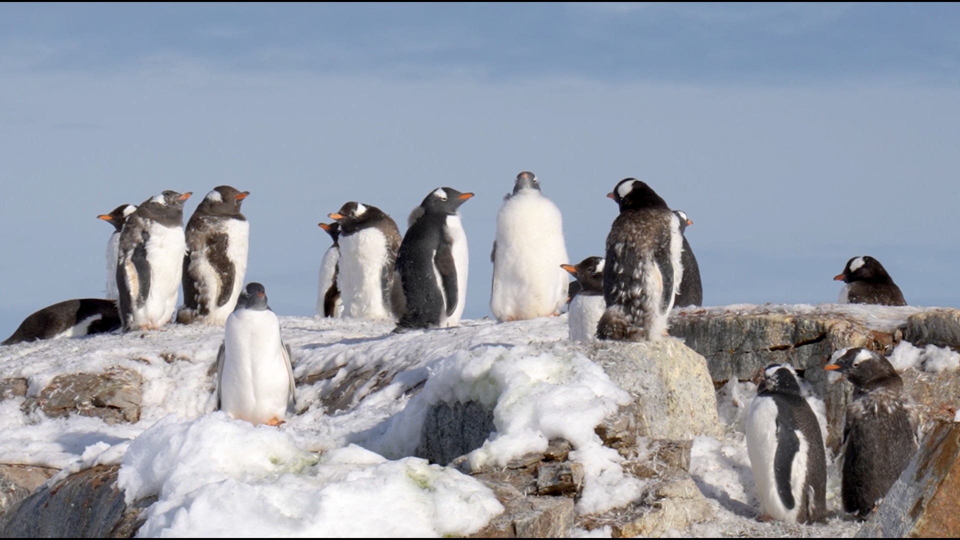 It’s raining more in the coldest place on Earth — that’s bad for ...