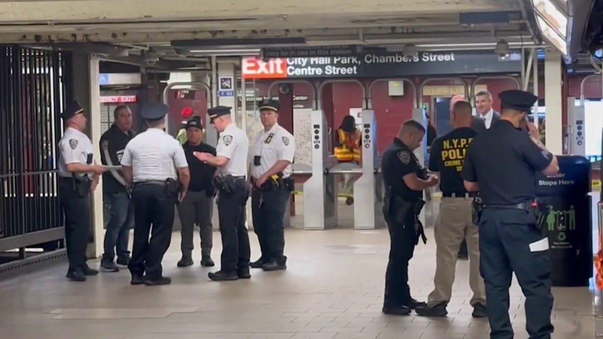 Man stabbed to death after fight breaks out on 5 train in Manhattan ...