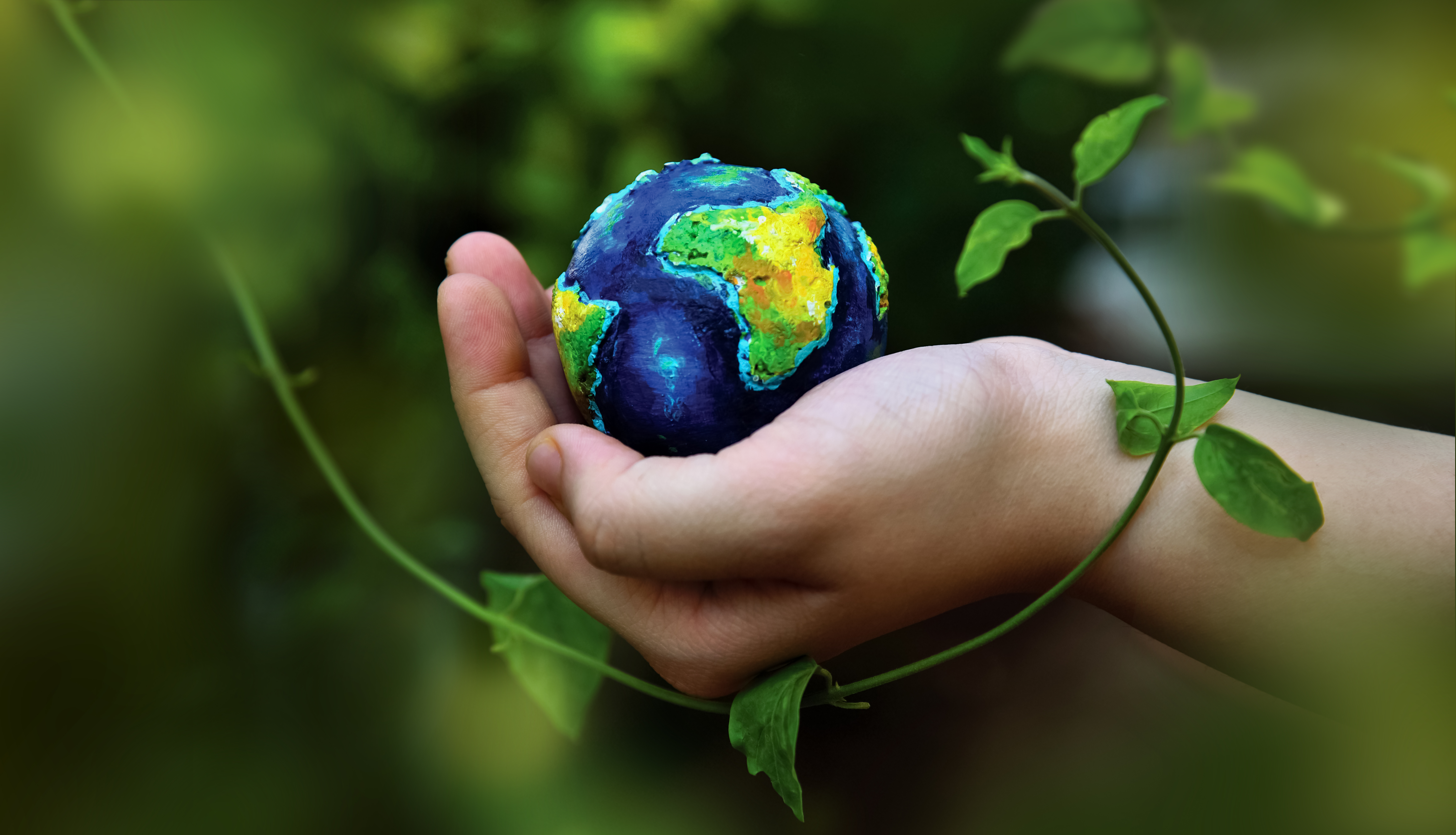 Earth Day 2025: History, day and this year’s theme – NBC New York