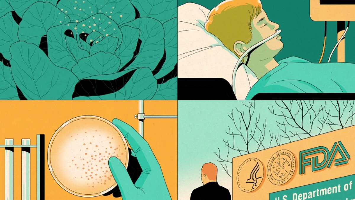 A deadly E. coli outbreak hit 15 states, and it wasn’t publicized – NBC ...