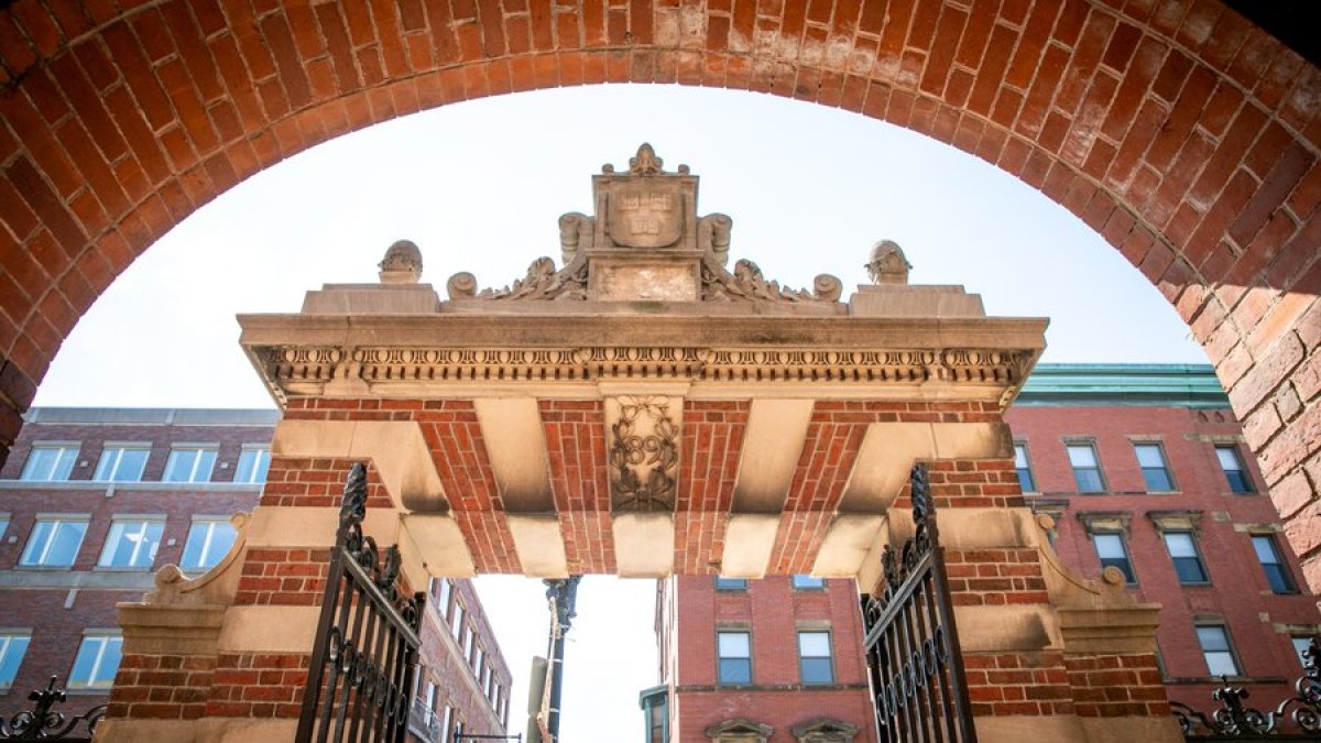 Harvard v. Trump: White House cuts another $450M in grant funding – NBC ...