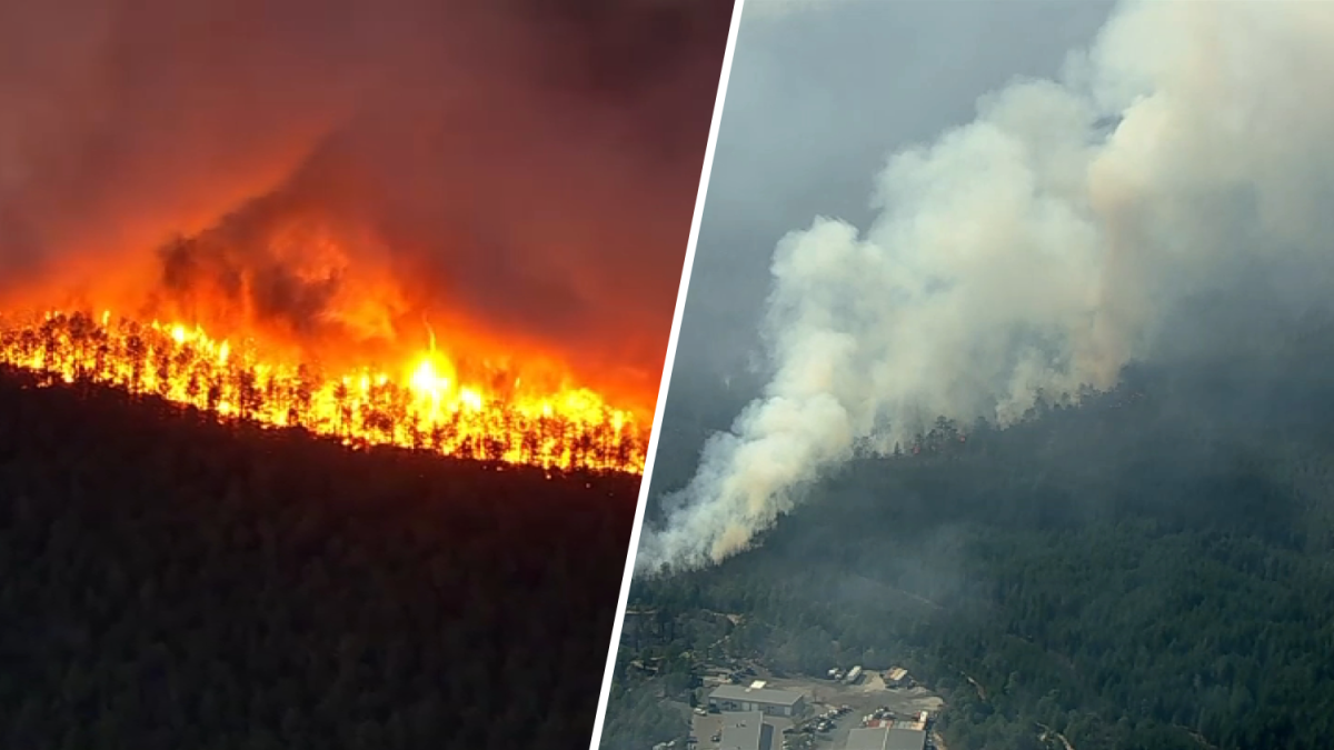 New Jersey Jones Road Wildfire 100% Contained After Burning 15,300 ...