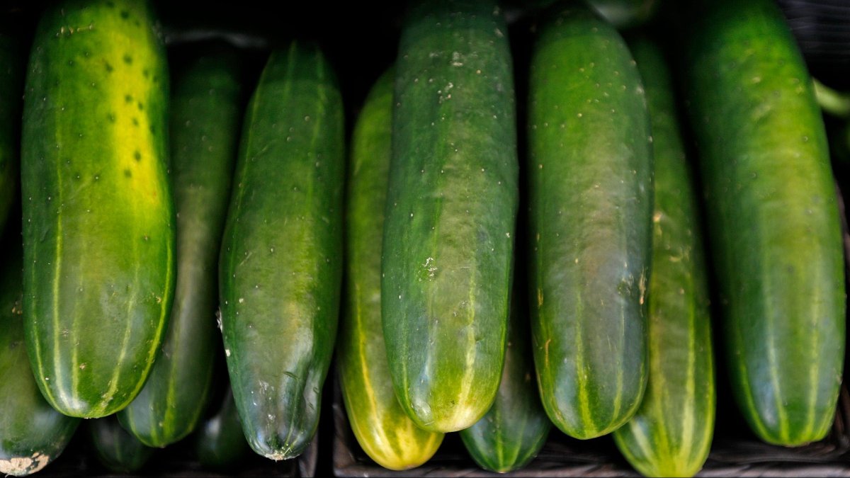FDA recalls cucumbers due to multistate Salmonella outbreak sickening over 20 people – NBC New York