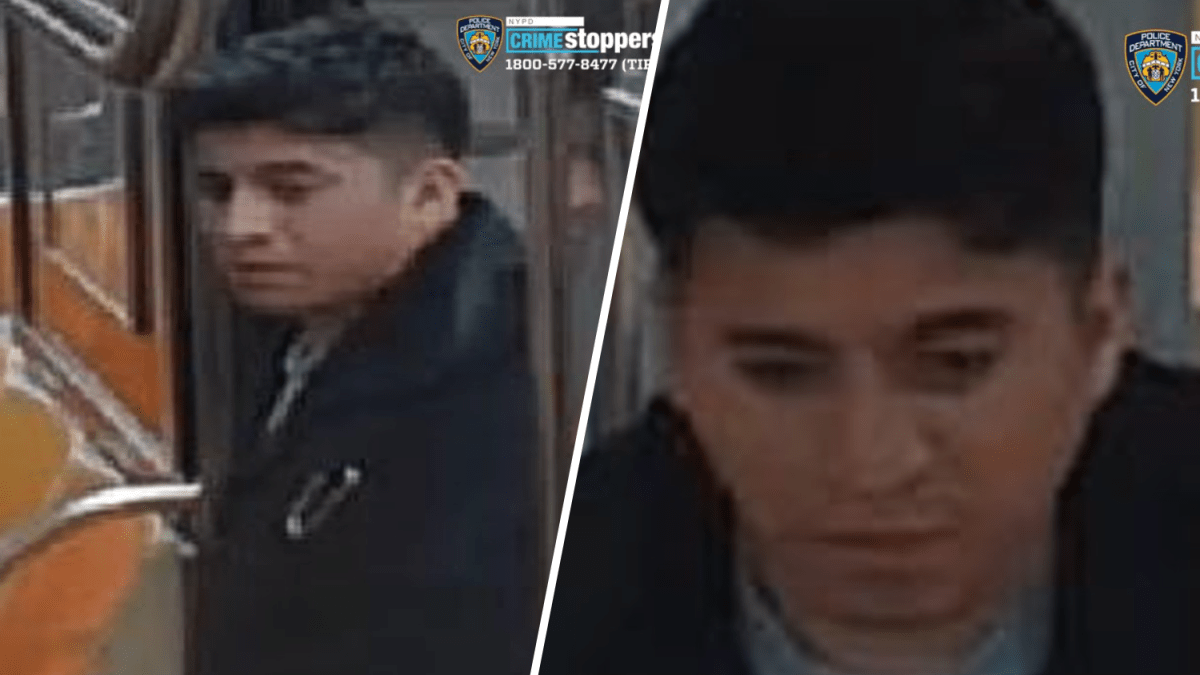 NYC subway stabbing wounds woman on D train – NBC New York