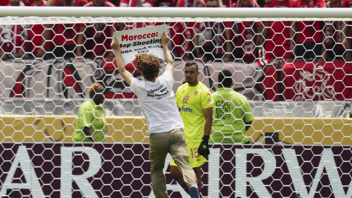 Animal-rights protester runs onto field during Club World Cup game ...
