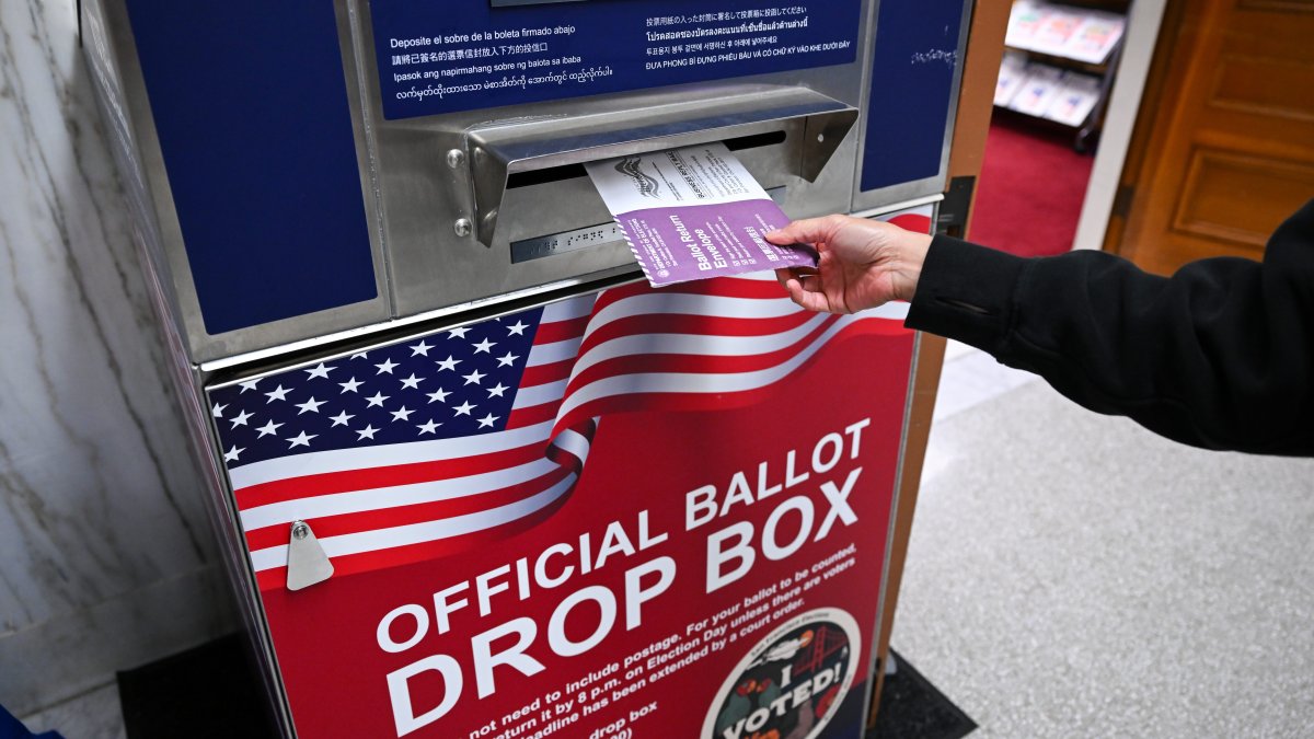 Alternate voting methods remained popular in 2024 election: Report ...