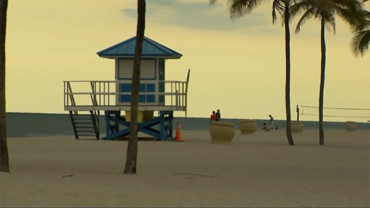 911 calls released in Hollywood shark attack – NBC New York