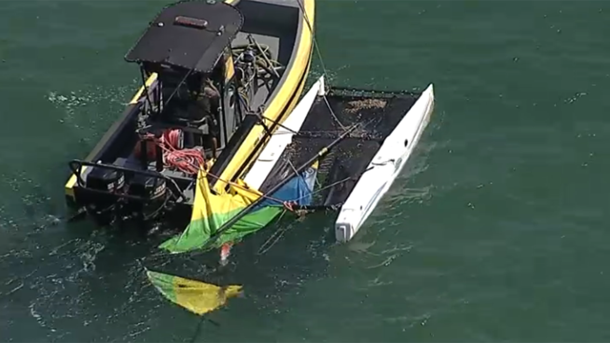 Mila Yankelevich, 7, killed in Miami boat crash – NBC New York