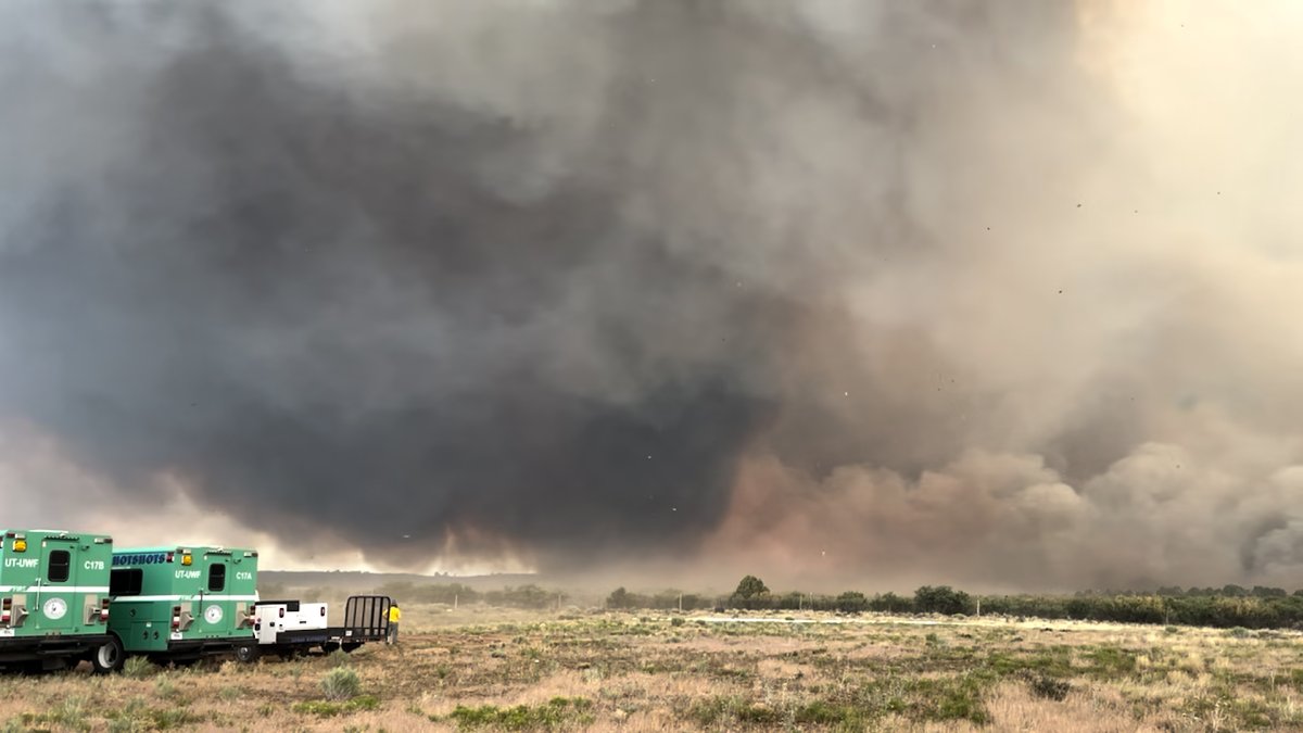 WATCH: ‘Firenado’ burns in Utah’s Deer Creek Fire – NBC New York
