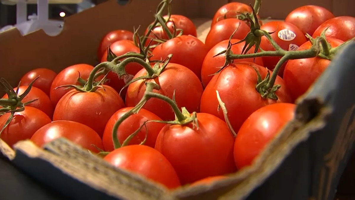 Tariffs could cost you more than $200 per month, Yale report says – NBC ...