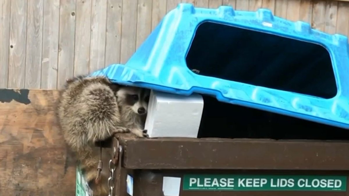 Savanah bound i was visiting Co Springs on work and desired