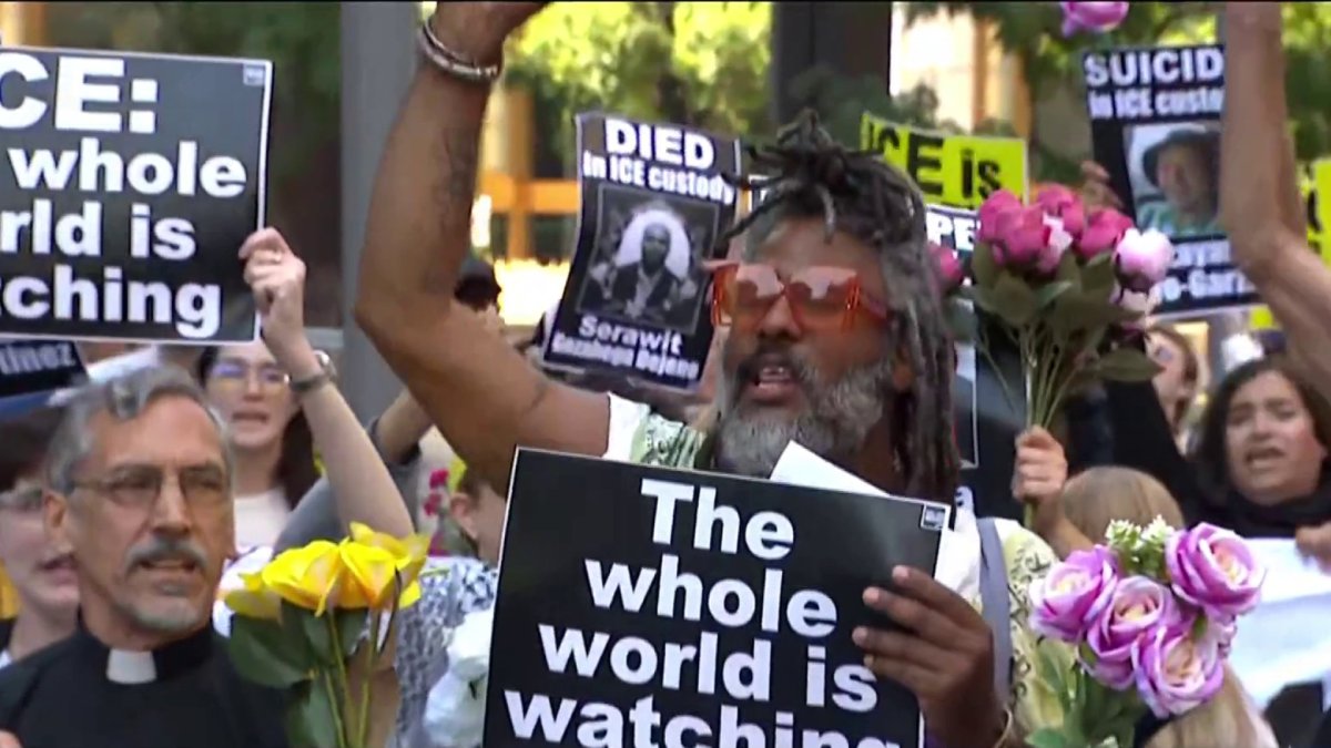 15 protesters arrested during demonstration against ICE in lower ...