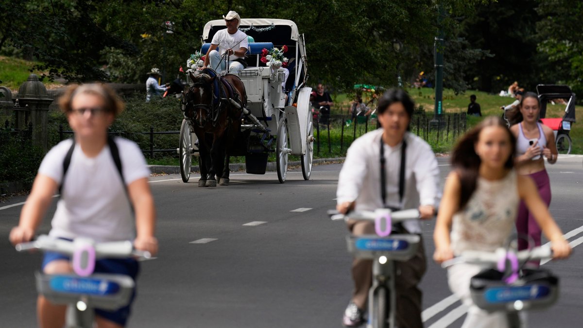 As strollers crowd Central Park, horse carriages at risk – NBC New York