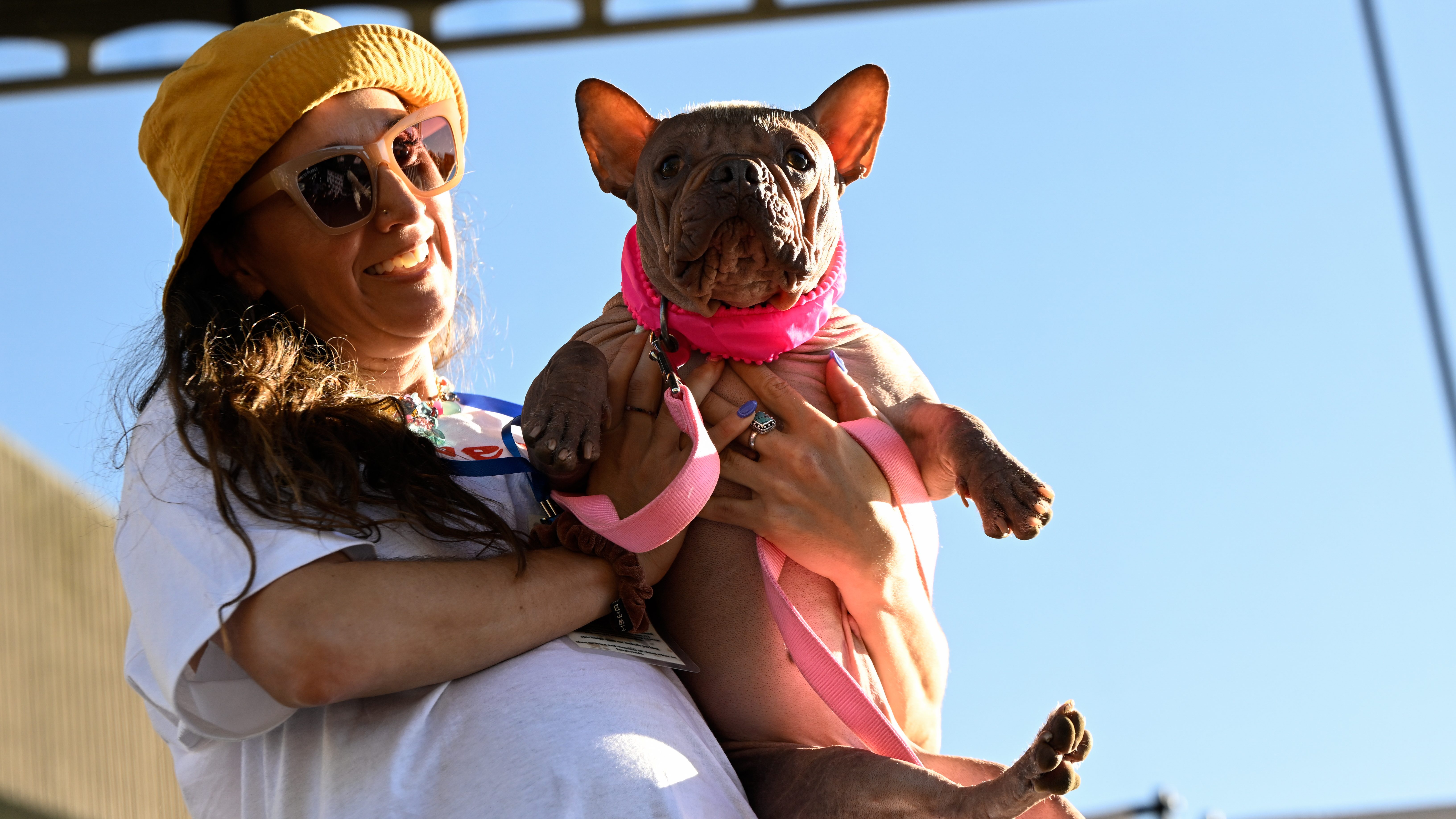 Meet Petunia, winner of the 2025 World’s Ugliest Dog Contest – NBC New York