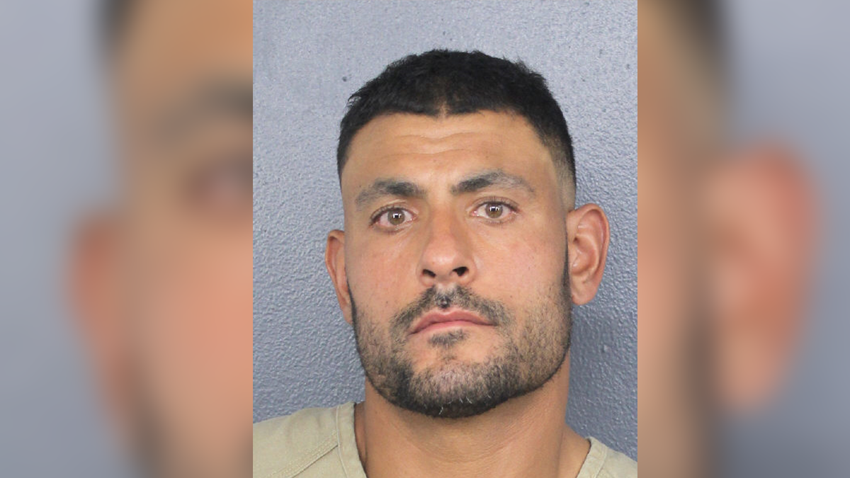 Dolphins coach Ryan Crow charged with battery in Fort Lauderdale – NBC ...