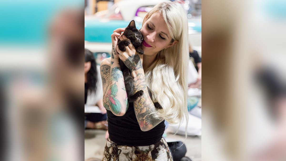 ‘Kitten Lady’ Hannah Shaw’s message to potential new pet owners – NBC ...