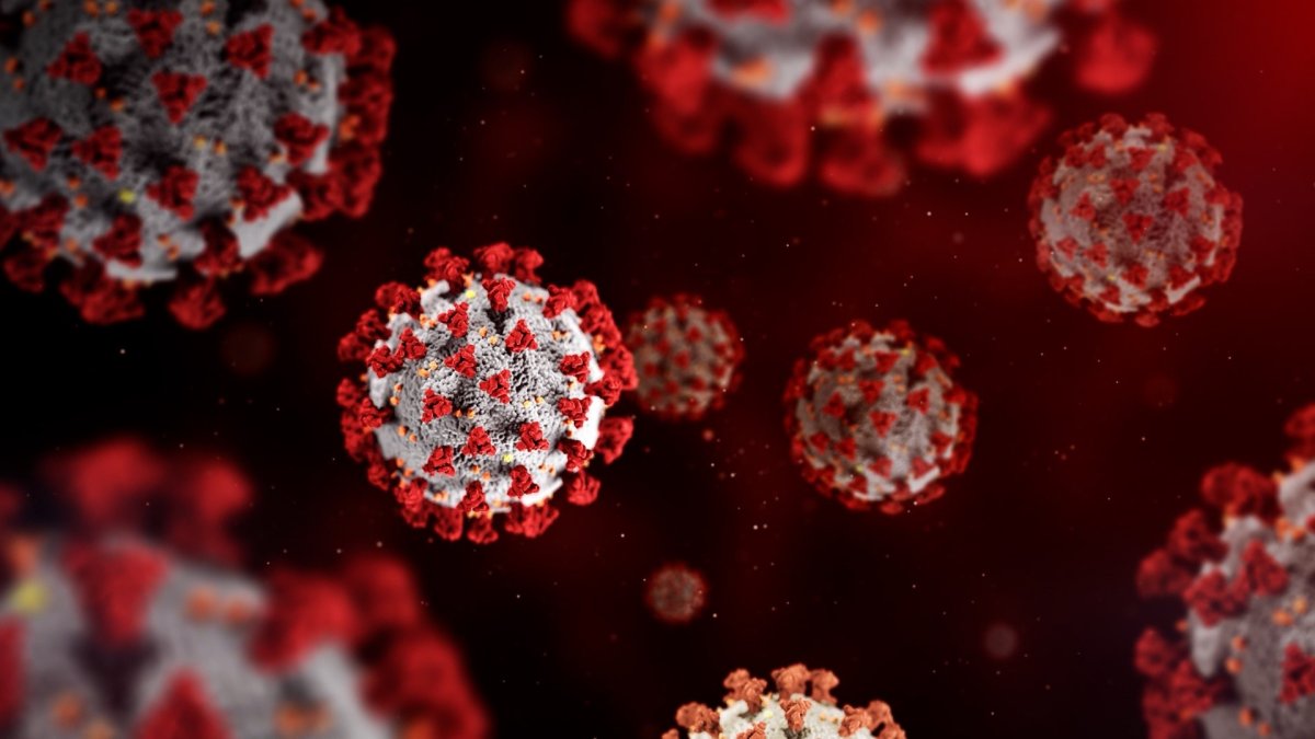 What is the XFG COVID-19 variant known as ‘Stratus’? – NBC New York