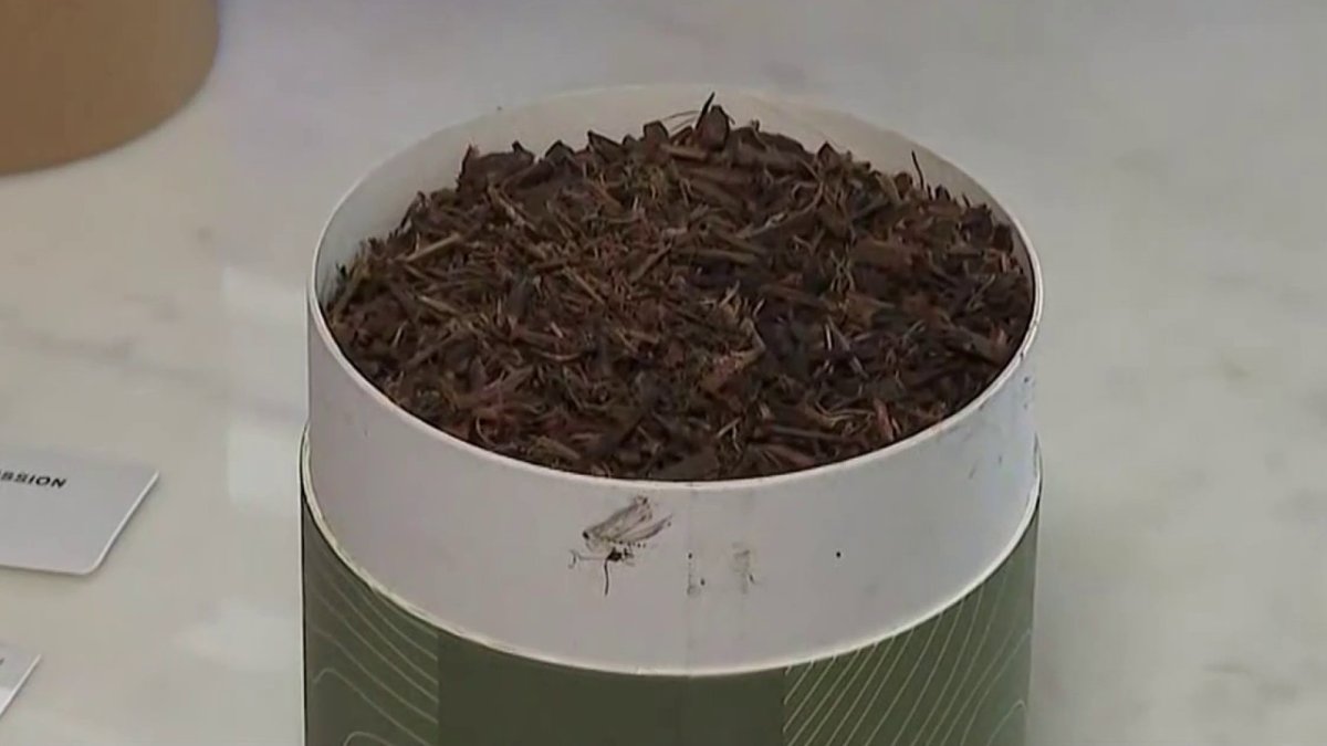 NJ now allows ‘human composting’ after death. What does it mean? – NBC ...