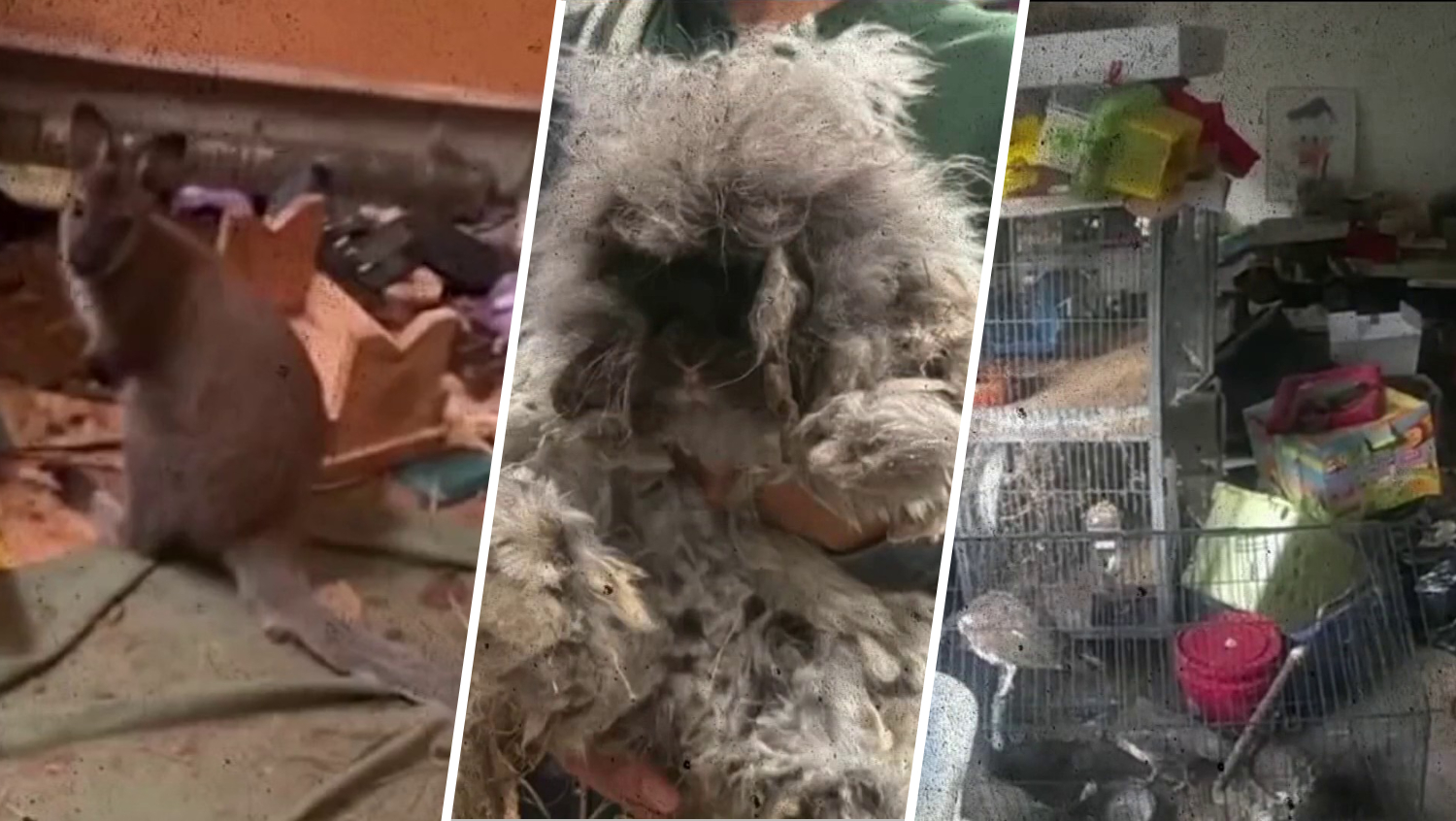 Jordan Neely father suing Daniel Penny after acquittal – NBC New York