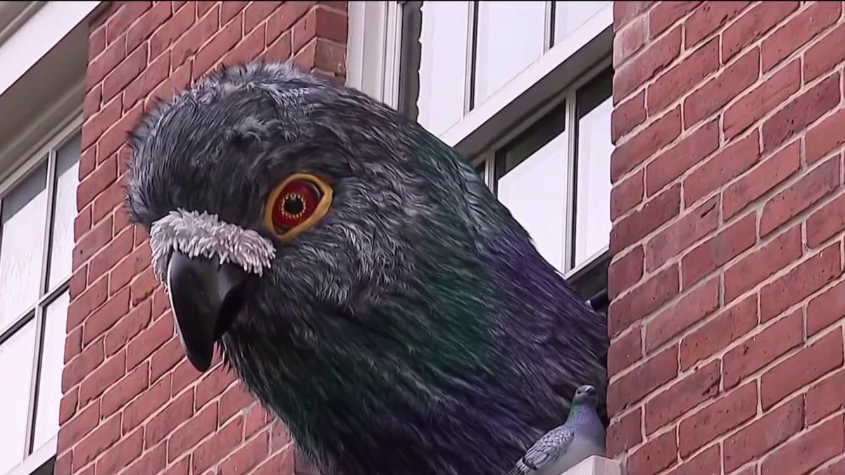 Giant pigeon Halloween display towers over a West Village street – NBC ...