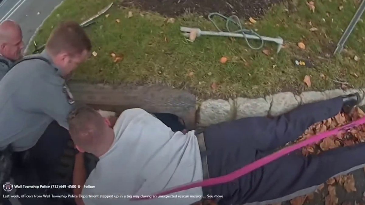 Police officers rescue dog from New Jersey storm drain – NBC New York