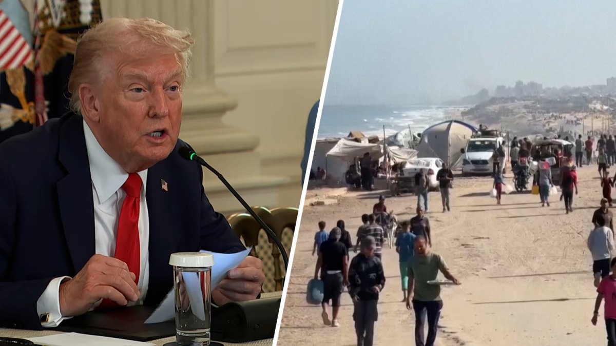 Israel and Hamas sign first phase of Gaza peace plan: Trump – NBC New York