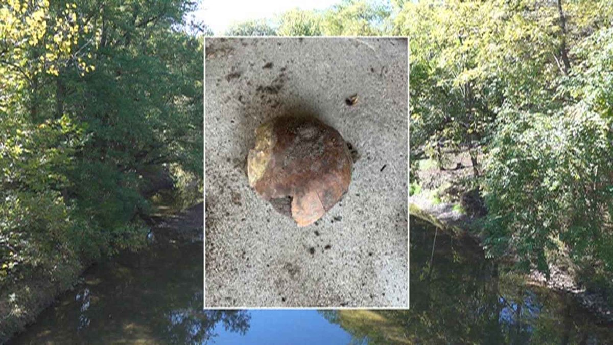 Human remains dating back 4,200 years found in Indiana – NBC New York