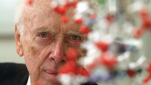 James Watson, co-discoverer of the double-helix shape of DNA, has died at age 97 – NBC 7 San Diego
